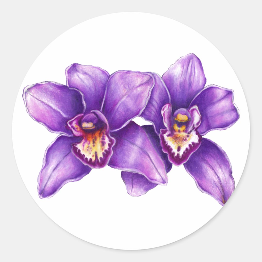 Purple Orchid Art Sticker | Zazzle
