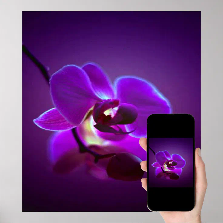 Purple Orchid Poster | Zazzle