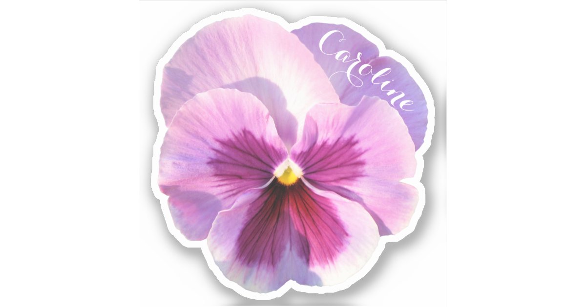 Purple Pansy Custom Name Countour Sticker | Zazzle