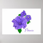 Petunia Vintage Seed Packet Poster | Zazzle.com