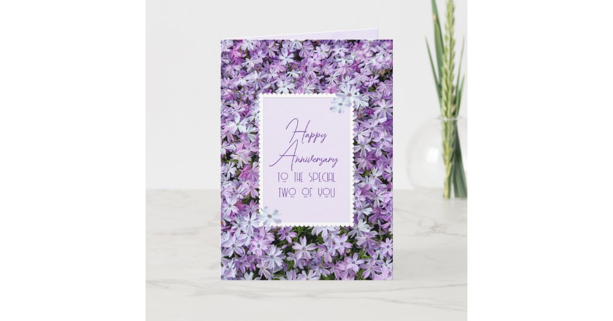 Purple Phlox For Happy Anniversary Card | Zazzle