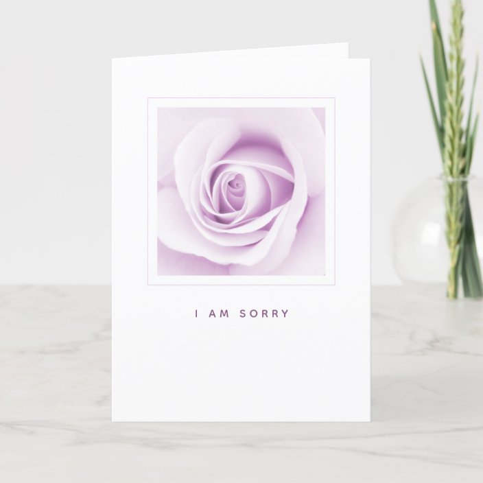 Purple rose I am sorry apology folded Card | Zazzle.com