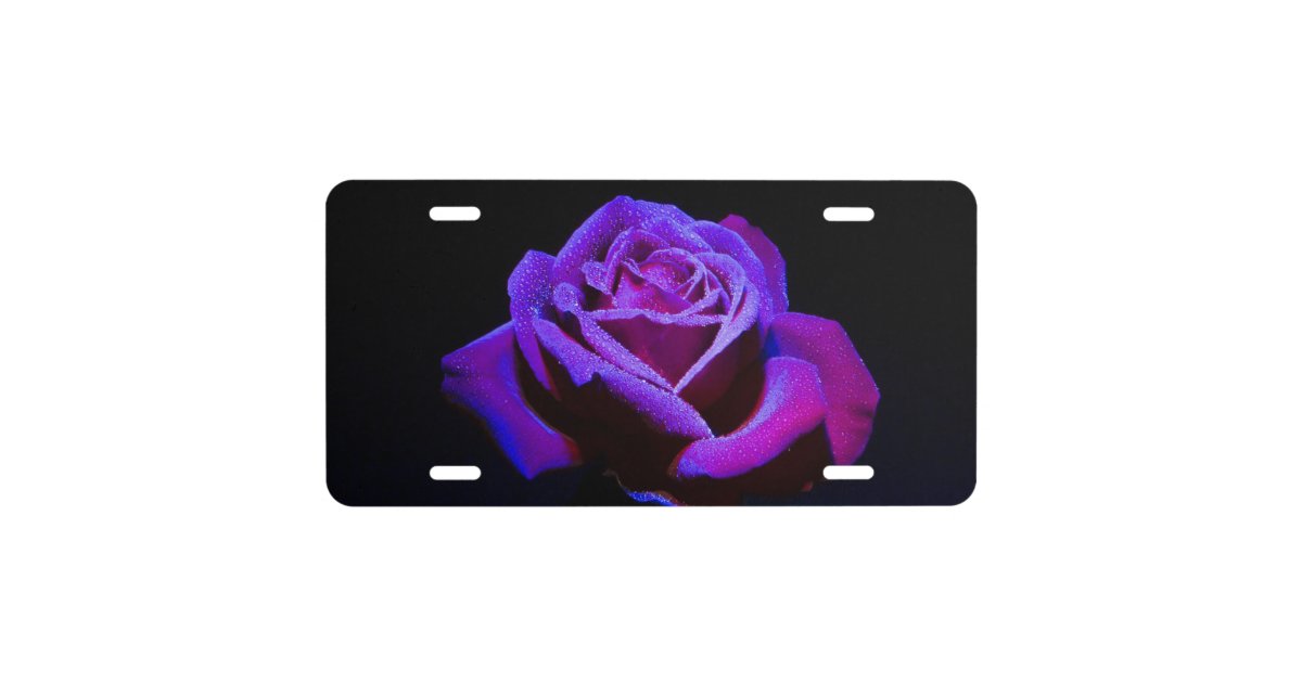 Purple Rose License Plate | Zazzle