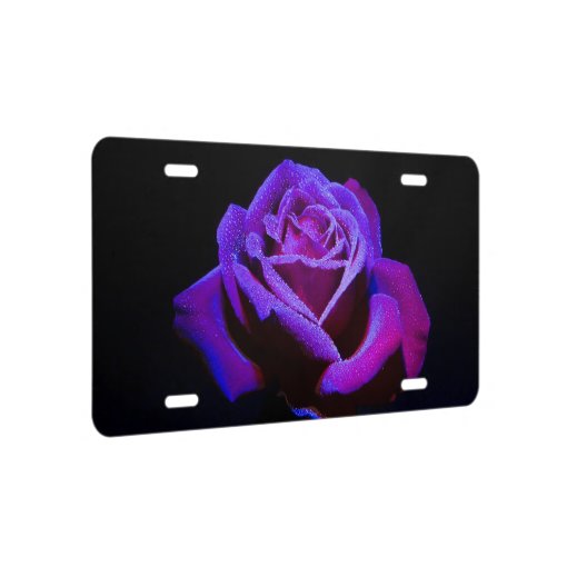 Purple Rose License Plate | Zazzle