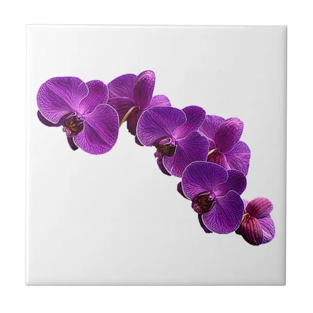 Purple Violet Orchid Flower Vine Ceramic Tile | Zazzle