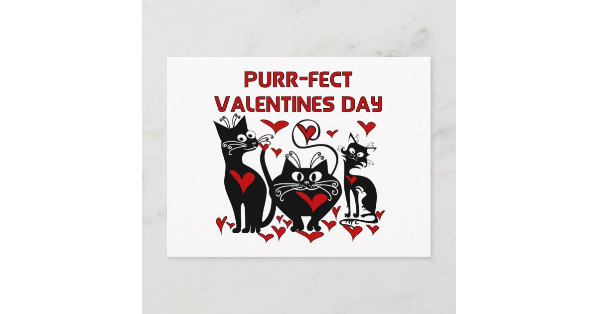 Purr-fect Valentines Day Holiday Postcard | Zazzle