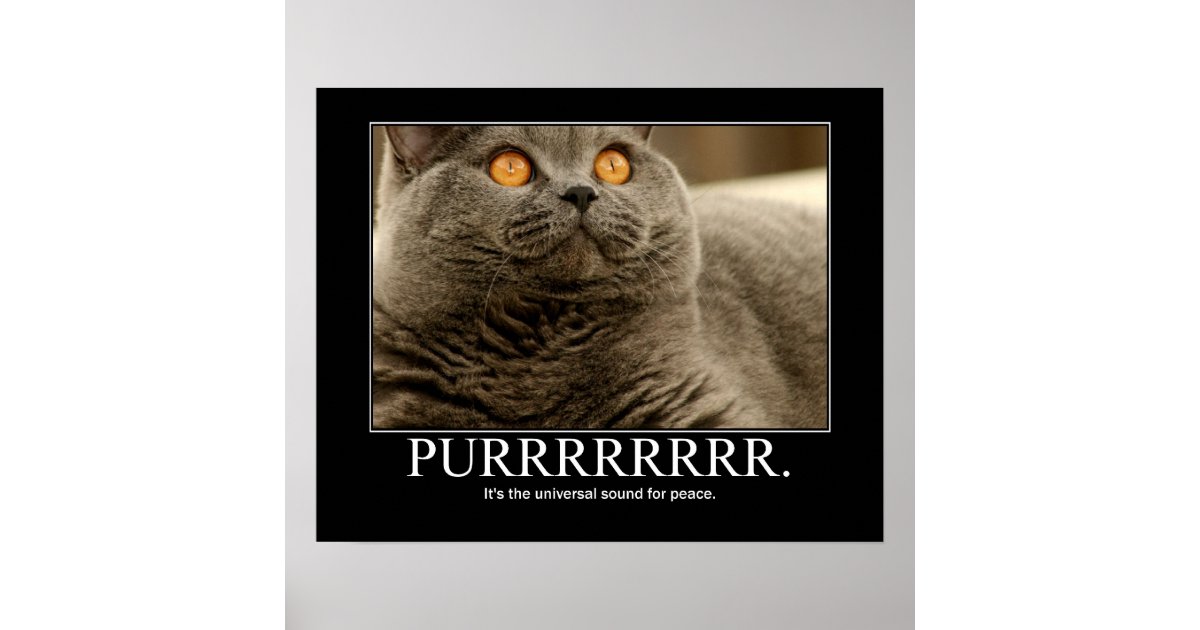 Purr is the universal sound for peace Artwork Poster | Zazzle
