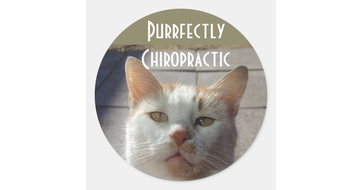 Purrfectly Chiropractic Stickers | Zazzle
