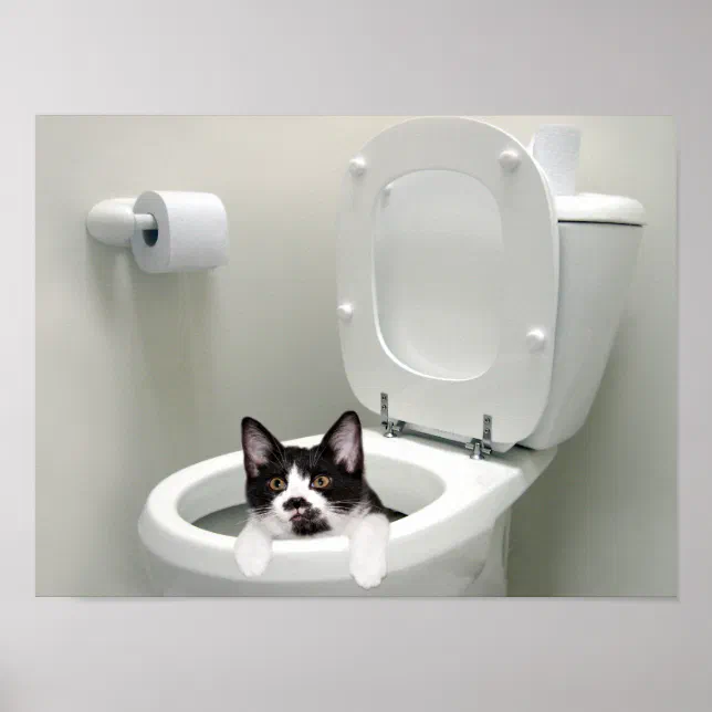 Put the lid down poster | Zazzle