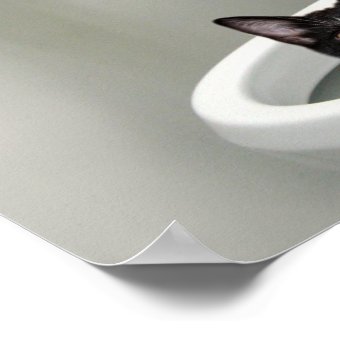 Put the lid down poster | Zazzle