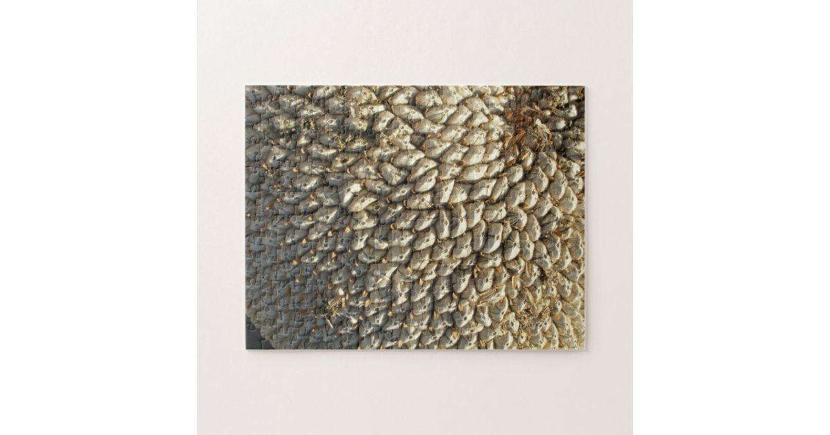 Puzzle - Sunflower Challenge | Zazzle