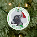 Pygmy Goat in Santa Hat Christmas Ornament | Zazzle