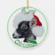 Pygmy Goat in Santa Hat Christmas Ornament | Zazzle