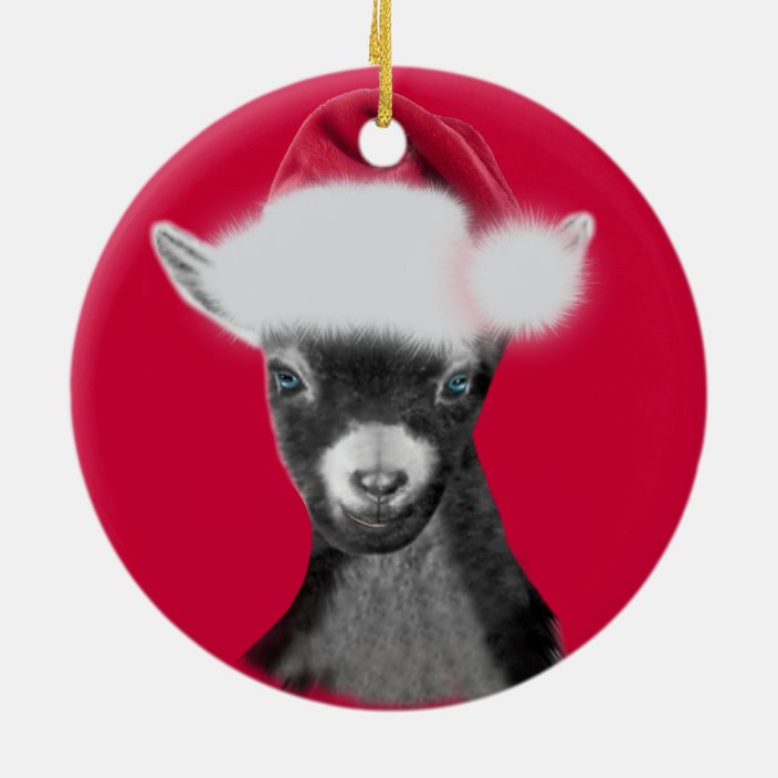 Pygmy Goat Santa Hat Christmas Ornament | Zazzle.com