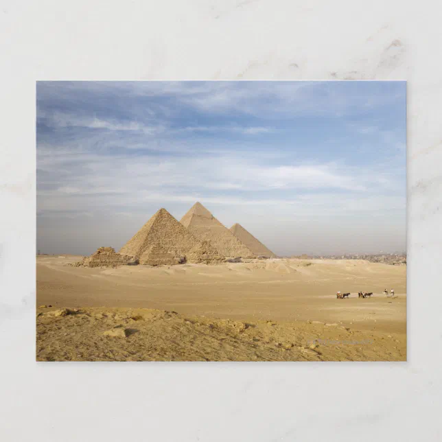 Pyramids Cairo, Egypt Postcard | Zazzle