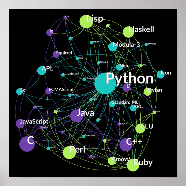 Python Programming Language Influence Network Poster | Zazzle