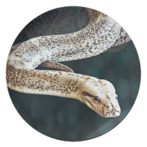 Python Snake Dinner Plate | Zazzle