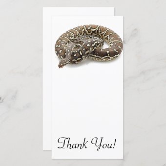 Python Snake Reptile Thank You Card | Zazzle