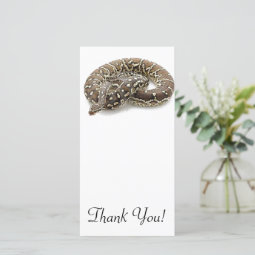 Python Snake Reptile Thank You Card | Zazzle