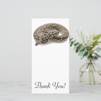 Python Snake Reptile Thank You Card | Zazzle