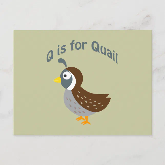 Q is for Quail Postcard | Zazzle