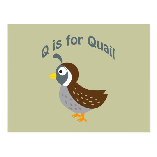 Q is for Quail Postcard | Zazzle.com