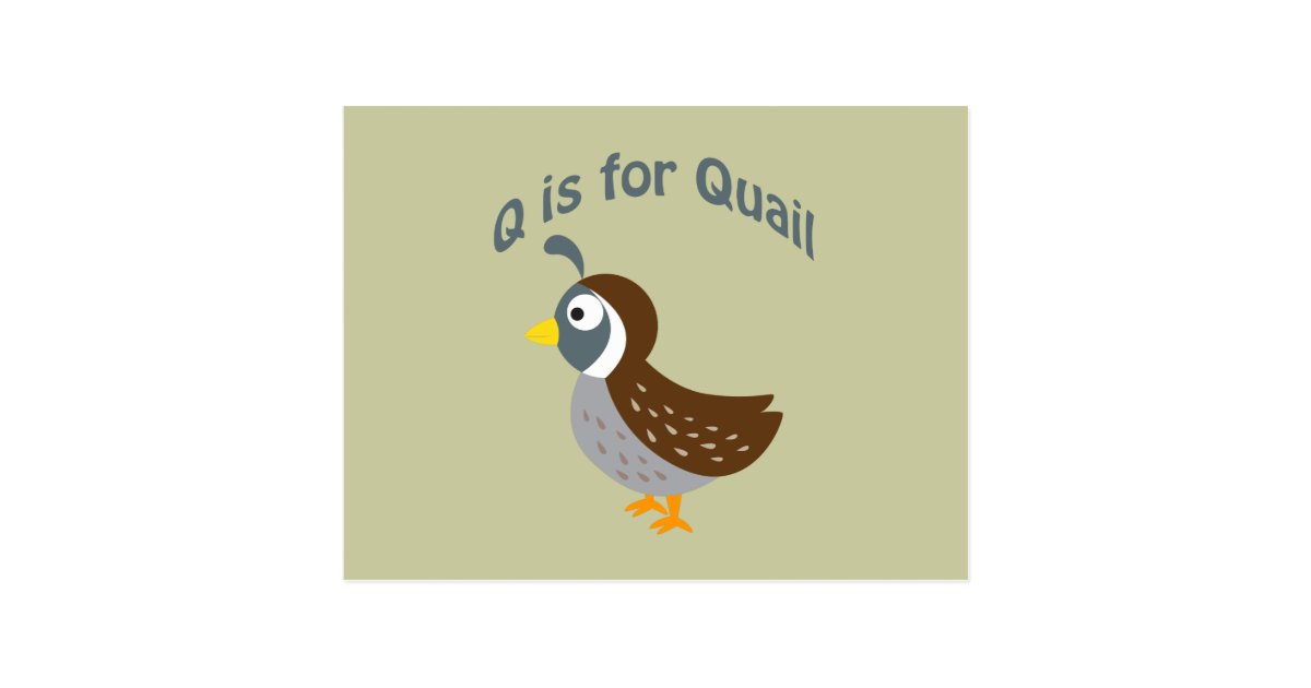 Q is for Quail Postcard | Zazzle.com
