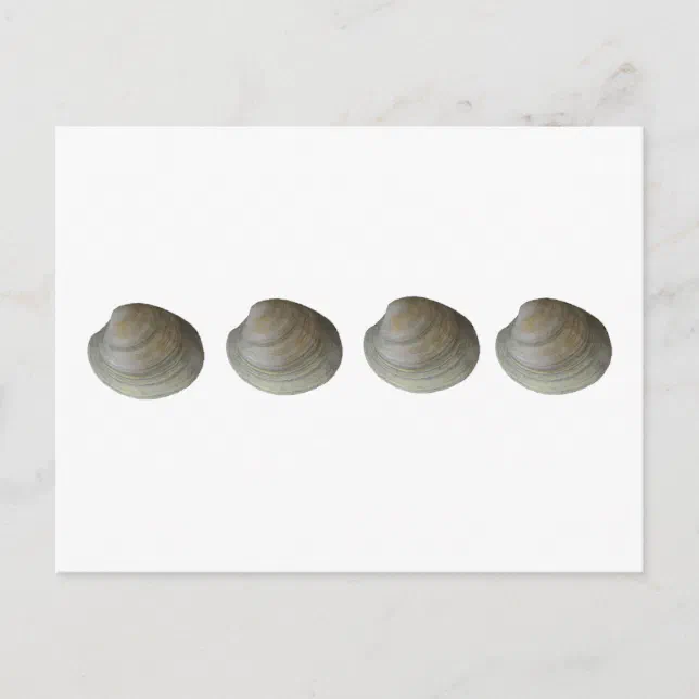 Quahog Clams Logo Postcard | Zazzle