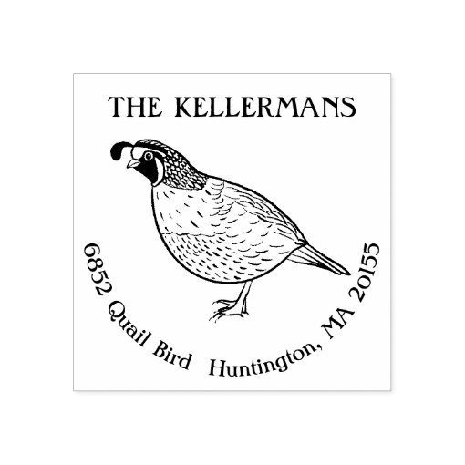 Quail Bird Return Address Rubber Stamp | Zazzle