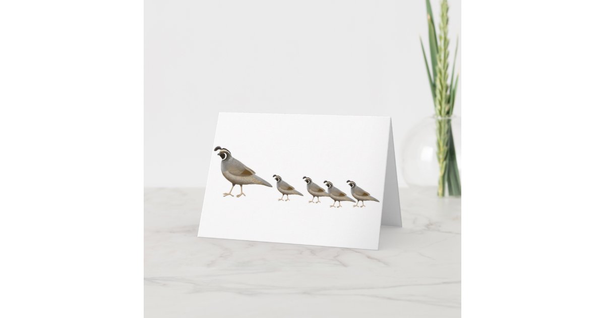 Quail Family Greeting Card | Zazzle