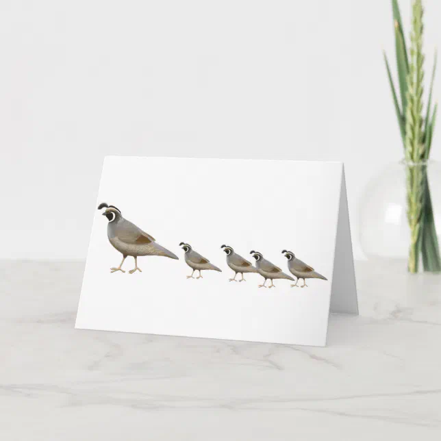 Quail Family Greeting Card | Zazzle