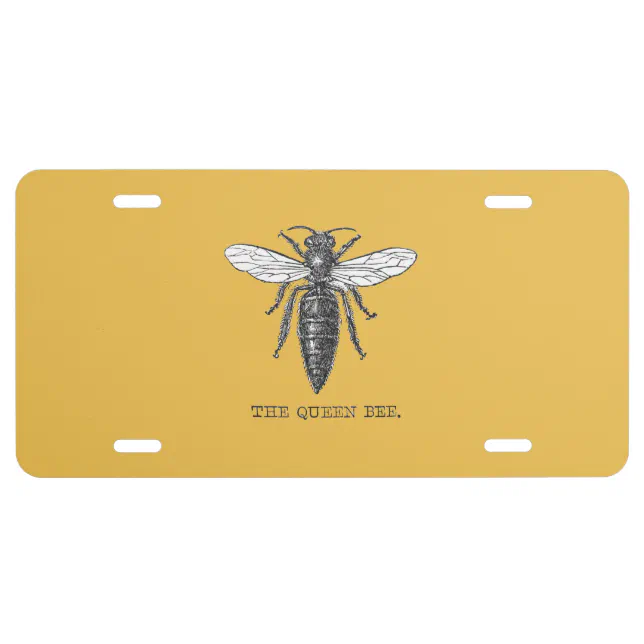 Queen Bee Bug Insect Antique Illustration License Plate | Zazzle
