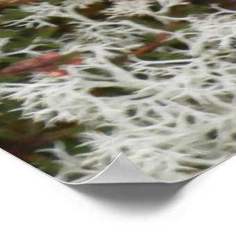 Queen Elizabeth 1st Lichen Poster | Zazzle