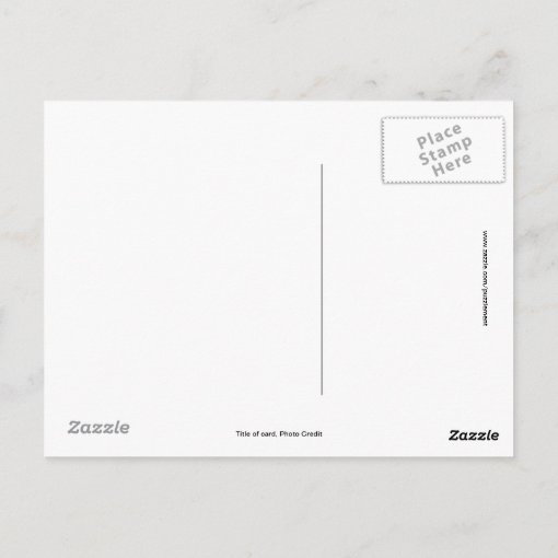 Quentin Massys, The Ugly Duchess, ca 1525 Postcard | Zazzle