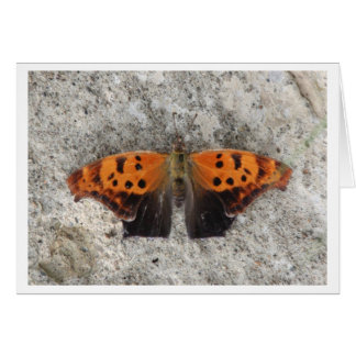 Question Mark Cards - Greeting & Photo Cards | Zazzle