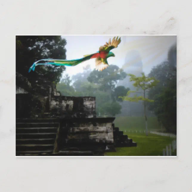 Quetzel in Tikal Postcard | Zazzle