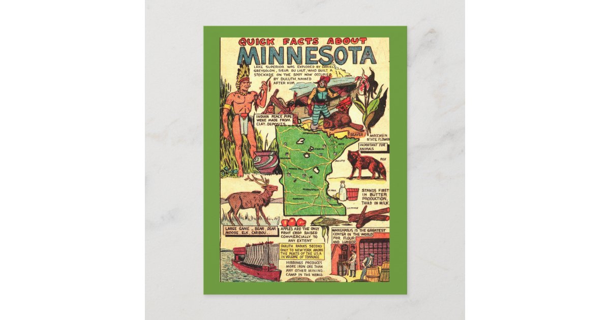 Quick Facts About Minnesota Postcard | Zazzle