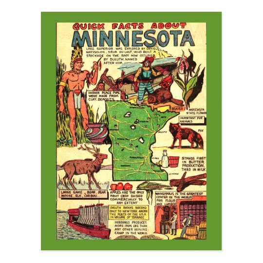 Quick Facts About Minnesota Postcard | Zazzle.com