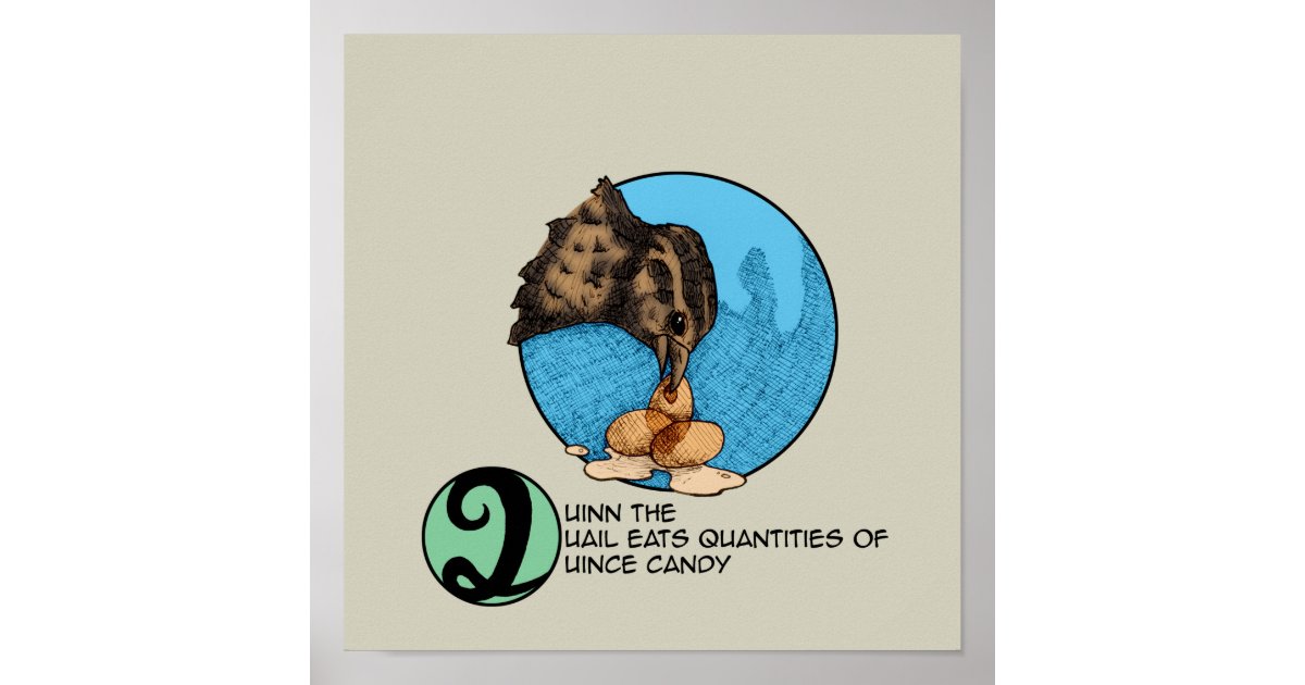 Quinn the Quail Poster | Zazzle