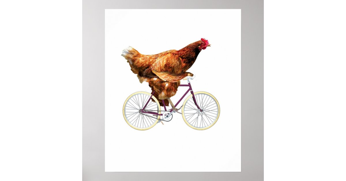 Quirky Chicken Riding Bicycle Poster | Zazzle