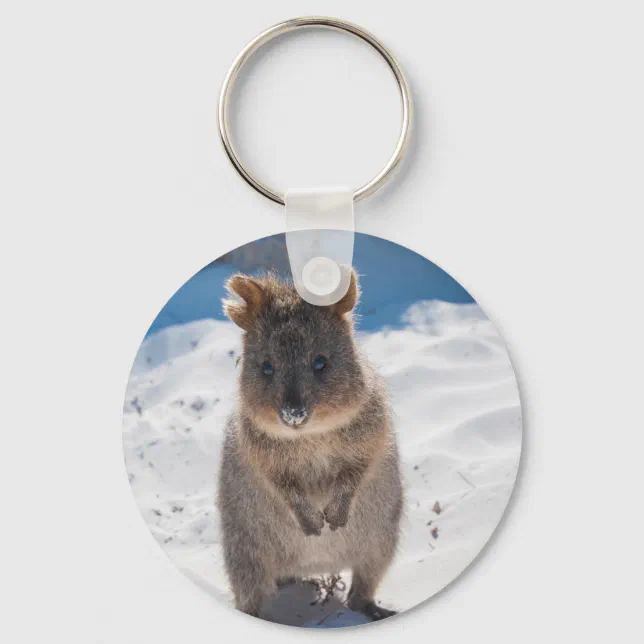 Quokka: The happiest animal in the world Keychain | Zazzle