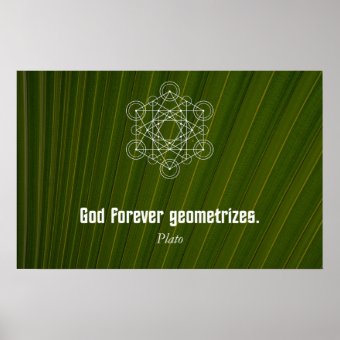 Quote by Plato Poster | Zazzle