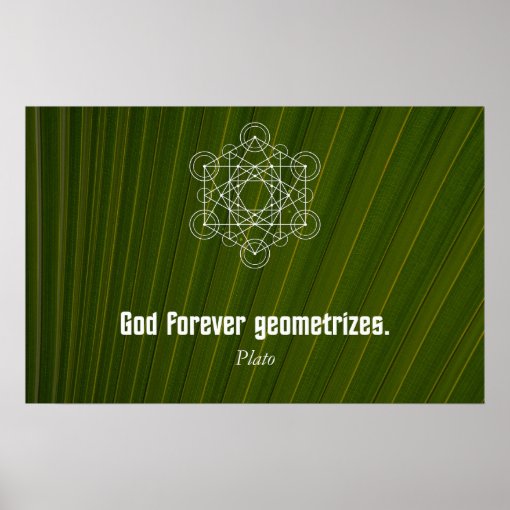 Quote by Plato Poster | Zazzle