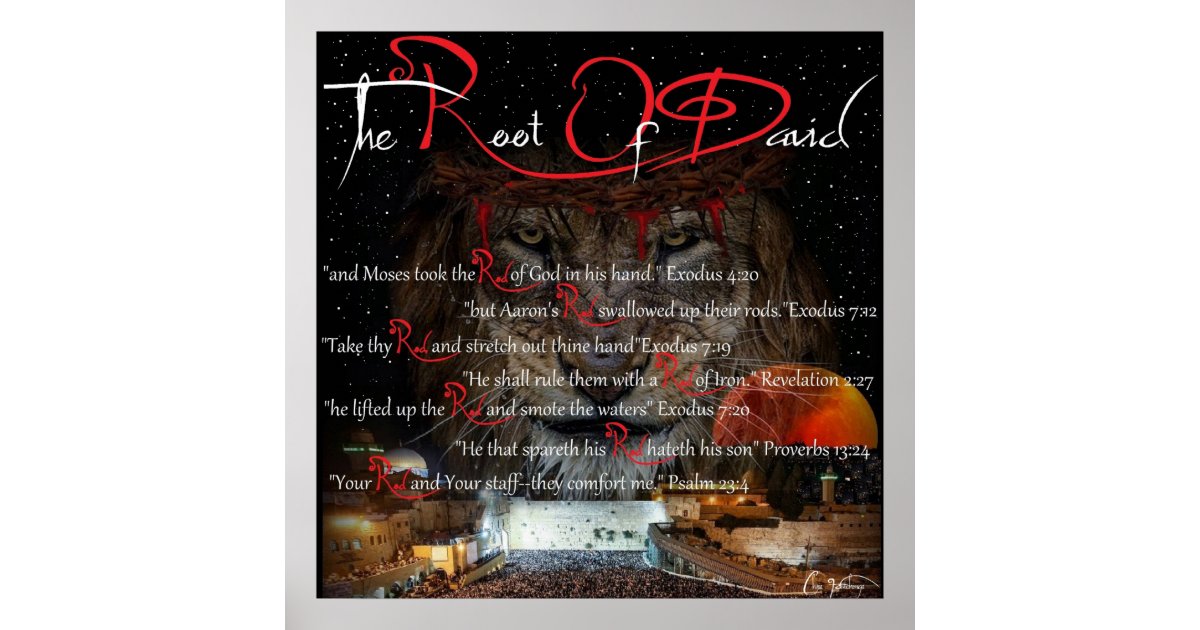 R.O.D. Root Of David Poster | Zazzle