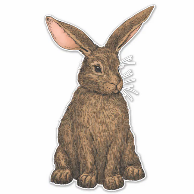 Rabbit 3 sticker | Zazzle