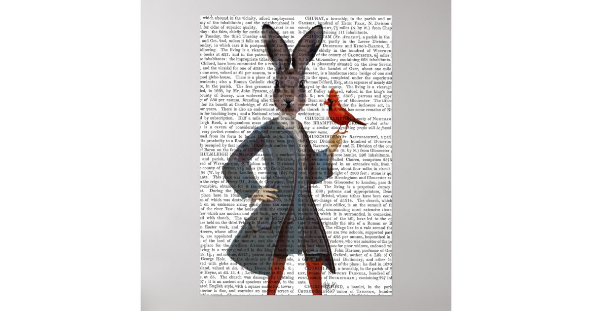 Rabbit and Bird Poster | Zazzle