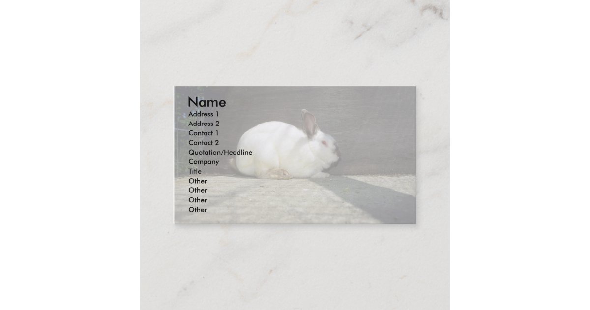 Rabbit Business Card | Zazzle