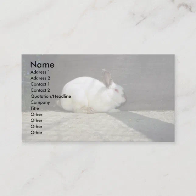 Rabbit Business Card | Zazzle