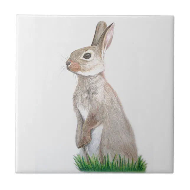 Rabbit Ceramic Tile | Zazzle