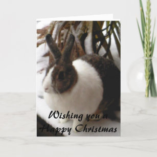 Rabbit Christmas Cards | Zazzle